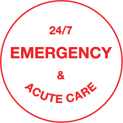 AKUH Karachi Main Campus